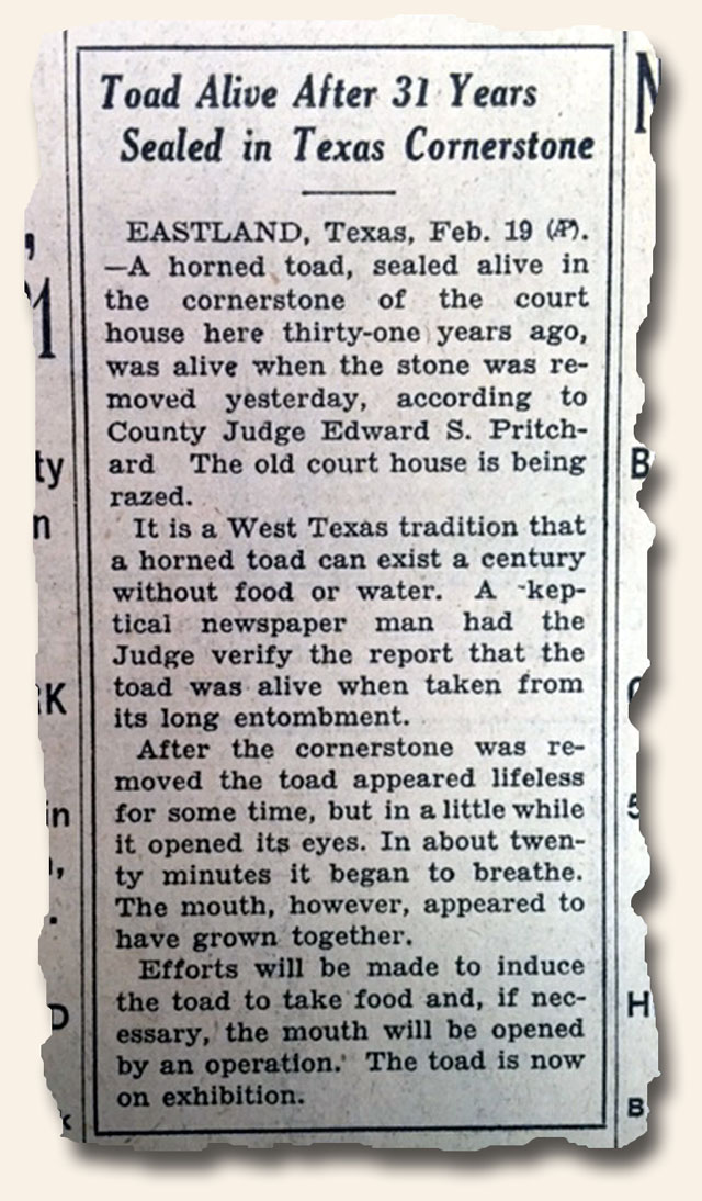 FACT or fiction? Ol’ Rip still alive after being entombed for 30+ years ...